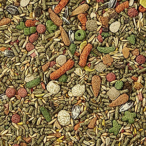 Kaytee Fiesta Pet Chinchilla Food, 2.5 Pound