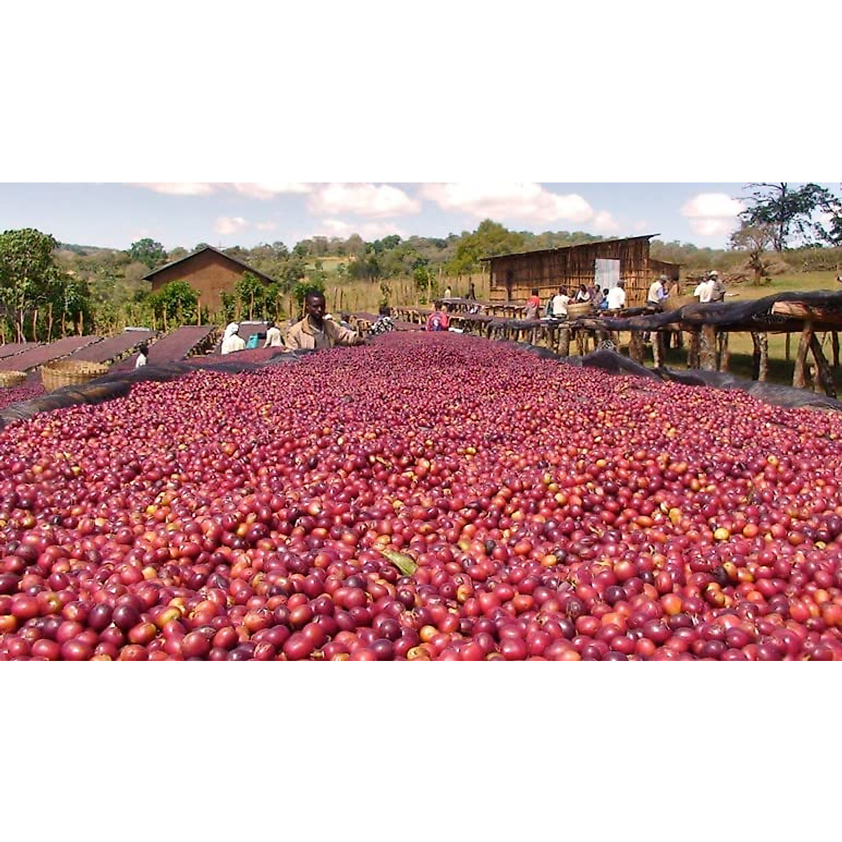 Joe Knows Coffee, Tall Dark and Handsome, Dark Roast, Ground Coffee, 2 Pound