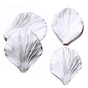 KALAIEN 5pcs Stainless Steel Peony Cutter 2pcs Fondant Silicone Mold Gumpaste Peony Sugarcraft Flower Veining Mold Veiner Petal Making Tool