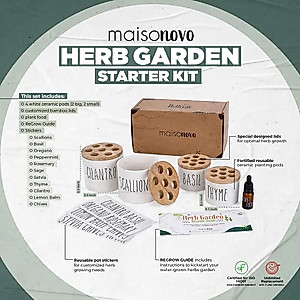 MaisoNovo Regrow Indoor Herb Garden Starter Kit for Kitchen Counter & Windowsill | Herb Garden Kit Indoor for Growing Fresh Herbs from Scraps in Water | Set of 4 Pods
