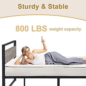 Zevemomo Queen Size Bed Frame, Queen Platform Bed Frame with Metal Slats and Wood Headboard & Footboard/Sturdy & Stable/No Box Spring Needed