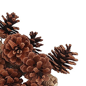 Parrots Pine Cone Chewing Toy, Hamster Chew Toys Hanging Wooden Pine Cones Bird Cage Funny Chewing Toy for Parakeet Cockatiel Grey Lovebirds Budgies Cockatoos(S)