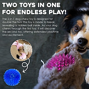 Flourish Pets 2 in 1 Multi-Layer Chew Toy for Active Dogs | Non-Toxic BPA Free Double Stitched Soft Fabric Exterior Dog Toys | Long-Lasting Dog Plush Toys – Turkey + Pumpkin (4”)