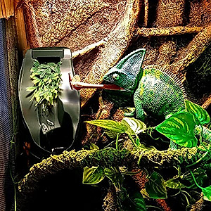 NEPTONION Chameleon Feeding Kit, Come with a Hookable Feeding Bowl and a Reptile Water Feeder, Perfect for Leaving Your pet Whilst on Vacation