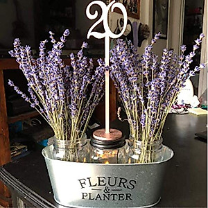 4 Pack - Oval Galvanized"Flowers & Garden" Metal Planter Pots - Perfect for Parties, Weddings & Decorations