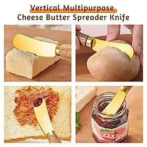 Standing Butter Spreader Knife Gold Butter Knives Set of 4 Cheese Spreader Knives Stainless Steel Charcuterie Knives Butter Cutter Vertical Butter Knife Spreader for Cold Butter Cheese Jam Spreading