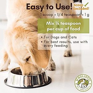 Wholistic Pet Organics: Dog Probiotics and Digestive Enzymes Powder Dog Prebiotic and Probiotic Supplement Prevents Upset Stomach Gut Health Probiotics for Dogs and Puppies Stool Ease for Dogs