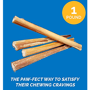 123 Treats 12-Inch Bully Sticks for Dogs (1 Pound Bag) – 100% Natural Grass-Fed Bulk Chews for Dogs & Puppies, Free-Range, Long Lasting Premium Beef Chews | Fully Digestible Dental Treats