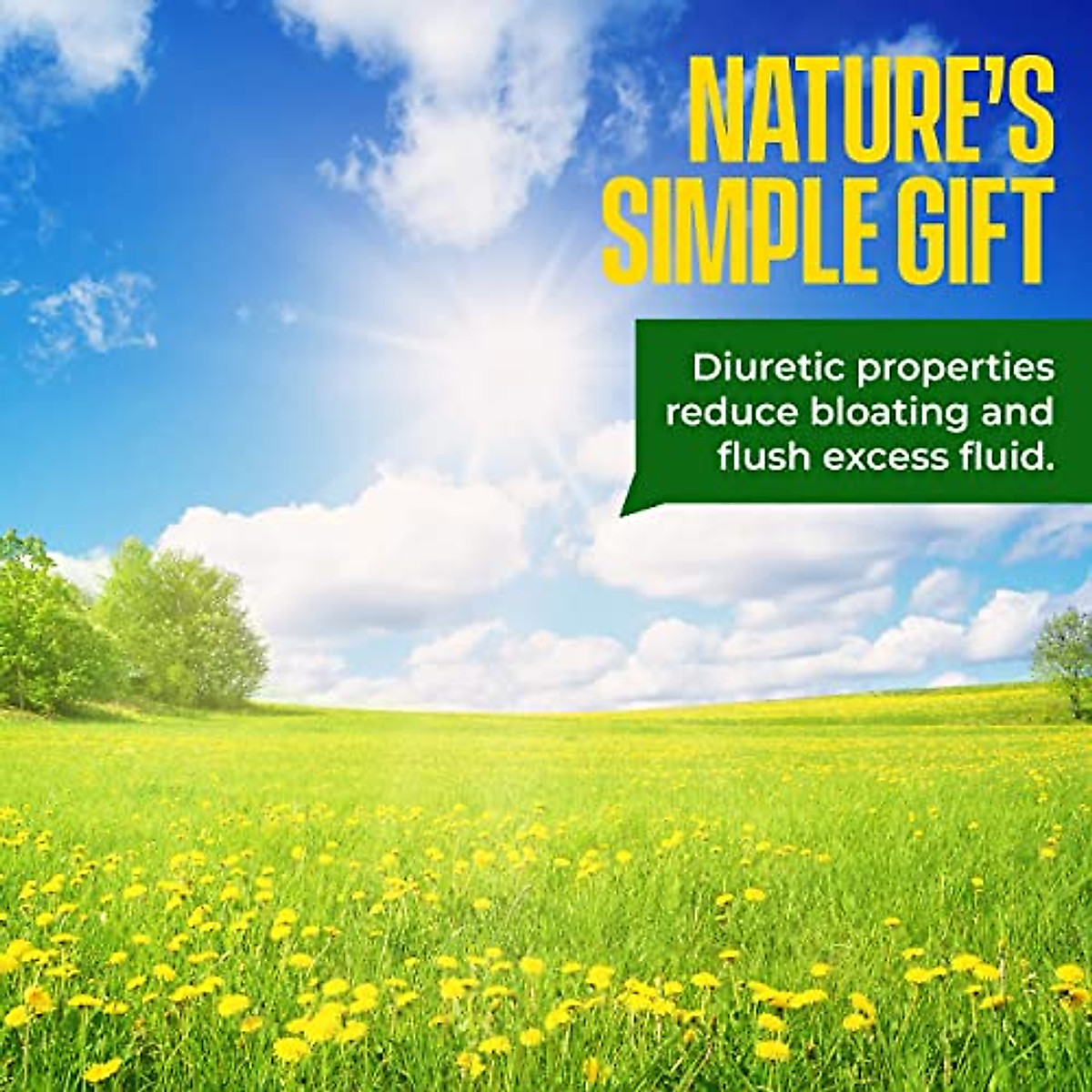 Dandelion Root Tea Detox Tea - Raw Organic Vitamin Rich Digestive (Dandelion Root, 20 Count (Pack of 3))