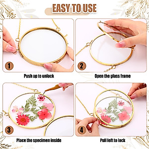 BBTO 8 Pack Round Hanging Glass Frame Small Brass Hanging Photo Frames Set Wall Mounted Gold Double Glass Display for Pressed Flowers Photos Dried Specimen DIY Artwork Display Decoration, 3.9 Inch