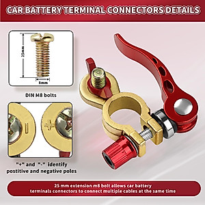 Battery Terminal Connectors 1 Pair, Battery Terminals Brass (M8 x 25mm Bolt), Battery Cable Ends Quick Release, Car Battery Terminal with Anti-Corrosion Pad for Car, caravan, truck, boat by XIOGZAXI