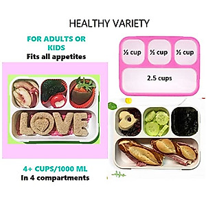 Bento Lunch Box for Girls, Kids Adults | Snack Containers with 4 Compartment Dividers, Boxes for School Pre-School Daycare Lunches BPA Free, Food and Microwave Safe | Pink Rose