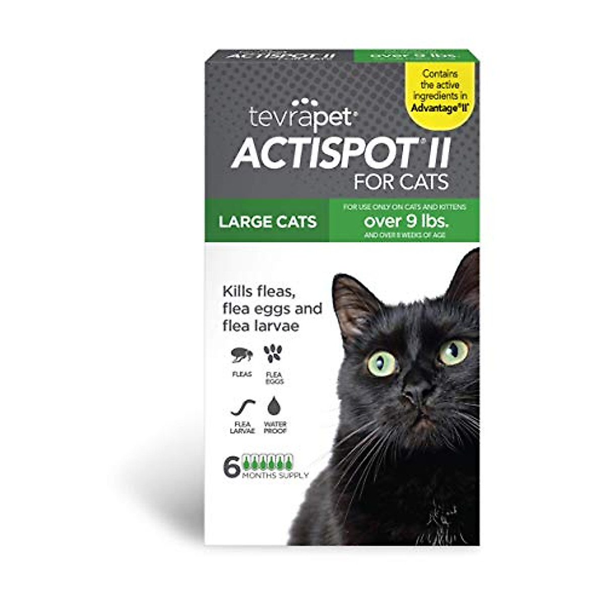 TevraPet Actispot II Flea Treatment for Large Cats 9+ lbs | 6 Doses | Powerful Prevention and Control