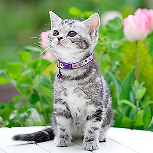 6 Pieces Cat Collar with Bell Kitten Breakaway Collar Heart Pattern Adjustable Safe Baby Kitten Collars Lollipop Spring Summer Cat Collars for Girl Boy Cats