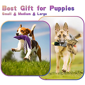 GOMUHE Dog Squeaky Toys, Plush Mallard Duck & Octopus Dog Toys Dogs, Plush Large Dog Toys, 16 Inch （2 Pack）