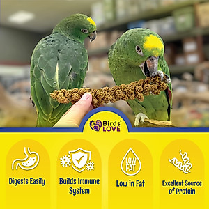 Birds LOVE Economy & Thin Special Spray Millet GMO-Free (No Stems Only Edible Tops) for Birds Cockatiel Lovebird Parakeet Finch Canary All Parrots Healthy Treat - 7oz