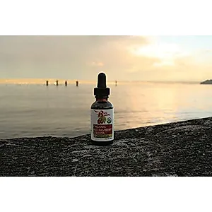 Berry Beautiful Certified Organic Red Raspberry Seed Oil - Cold-pressed from US grown raspberries (1 fl oz)