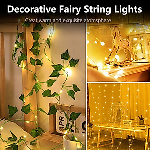 Tasodin led Fairy Lights Waterproof 16.4ft String Lights Battery Operated for Wedding, Home, Garden, Party, Christmas Decoration (1pc, Warm White 1pc)