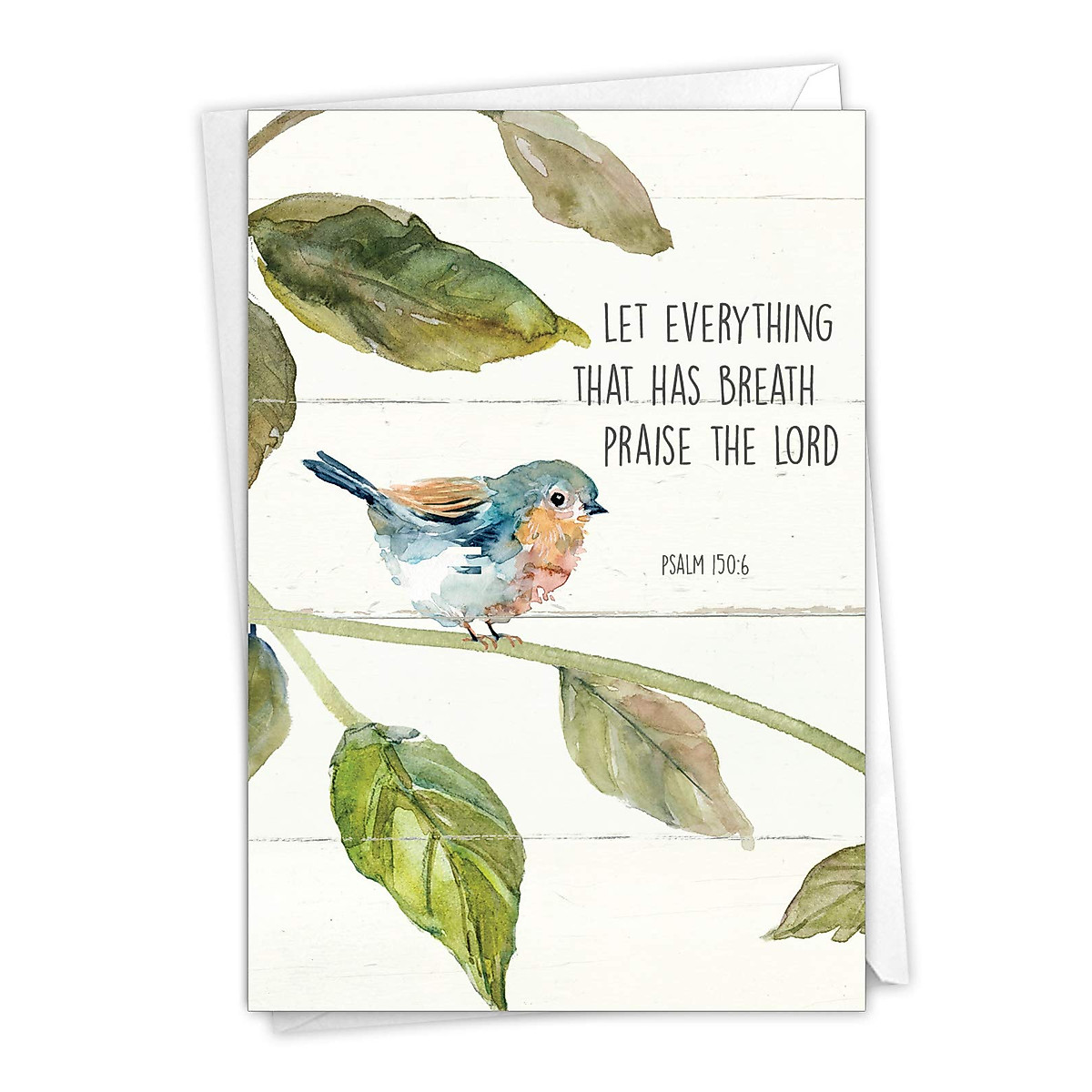 The Best Card Company - Congratulations Greeting Card with Envelope - Beautiful Appreciation, Celebration Card - Scripture Birds C7108ICGG