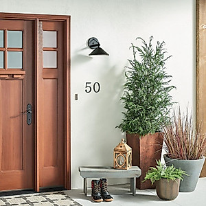 Kichler Ripley 9" 1 Light Outdoor Wall Light in Olde Bronze®