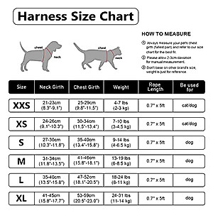 Mercano Soft Mesh Dog Harness and Leash Set, No-Chock Step-in Reflective Breathable Lightweight Easy Walk Escape Proof Vest Harnesses with Safety Buckle for Small Medium Dogs, Cats (Pink, M)