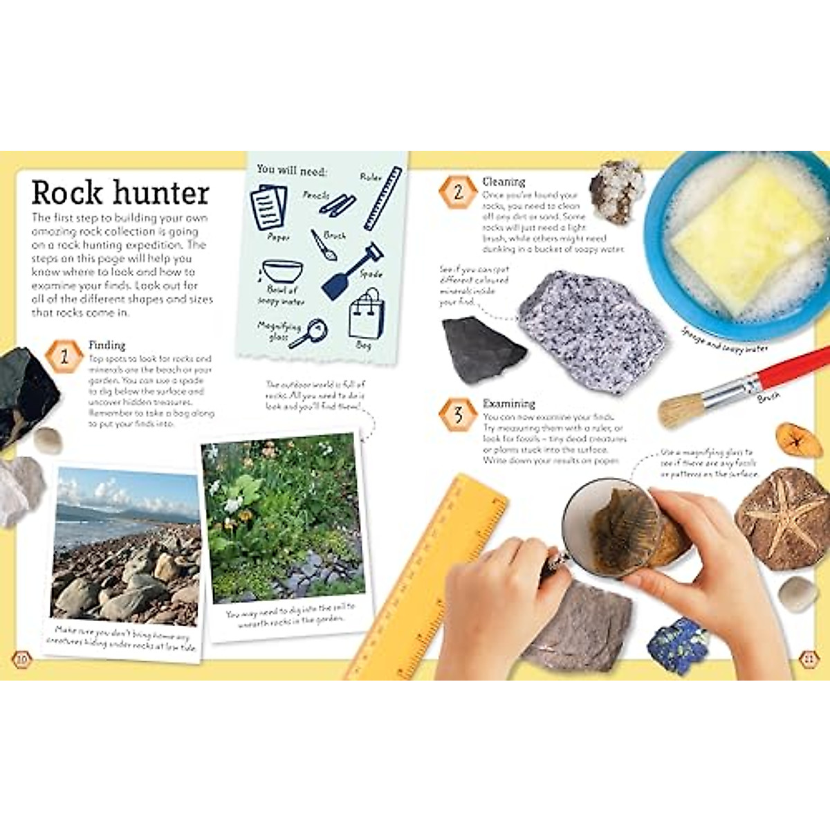 My Book of Rocks and Minerals: Things to Find, Collect, and Treasure