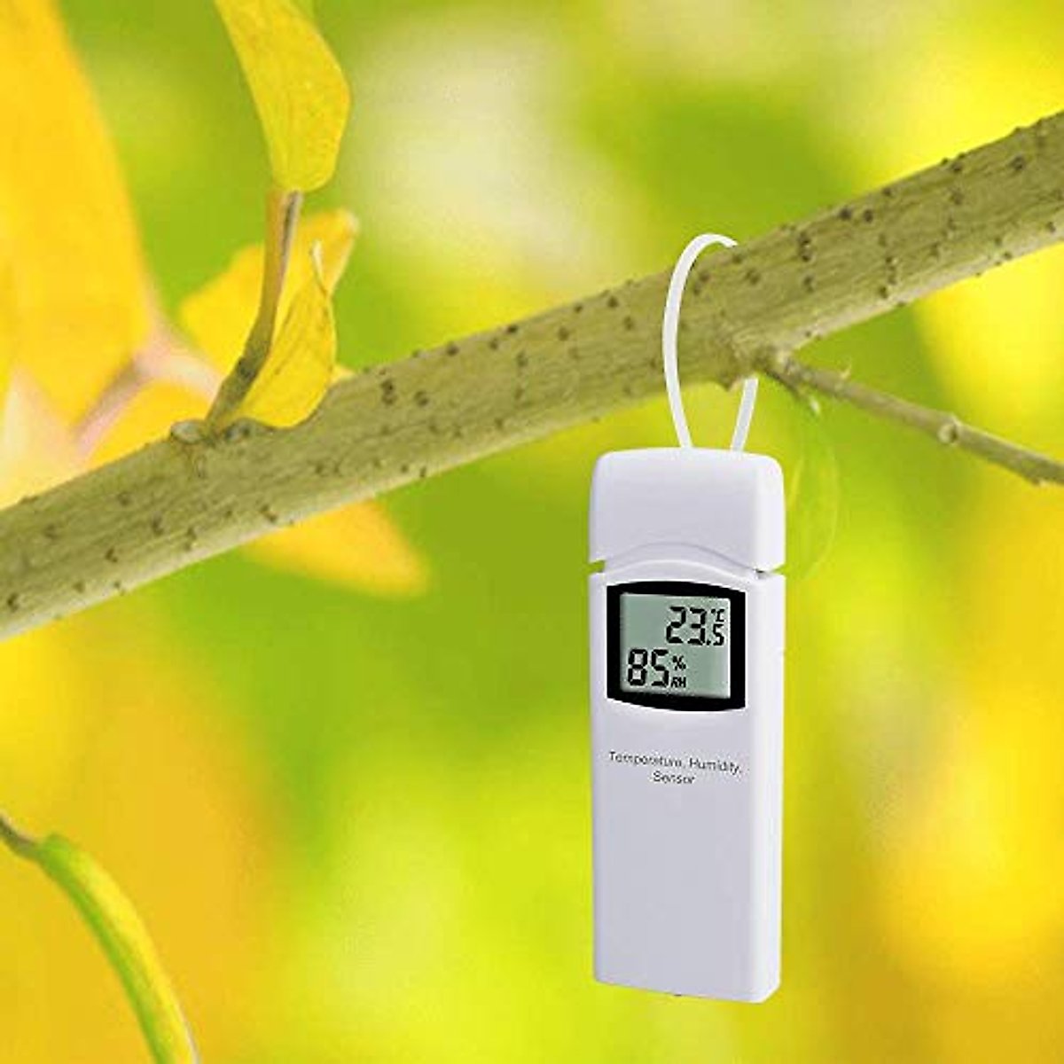 Ecowitt WH32 Wireless Outdoor Temperature and Humidity Sensor, Thermometer and Hygrometer Gauge with LCD Display, Default Degree Fahrenheit, Remote App Monitoring