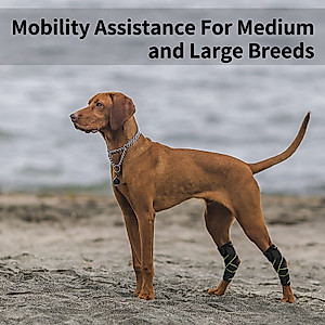 PETNEDO Dog Canine Rear Leg Hock Joint Brace, Pair of Dog Leg Double Compression Brace with Metal Spring Strips, Protects Hind Leg Wounds, Injuries and Sprains Helps Arthritis-L