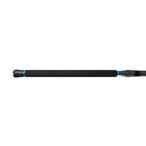 Jigging world Black Widow 300S Spinning 2-Piece Popping Rod