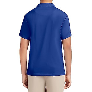 Nautica mens Uniform Short Sleeve Performance Polo Shirt, Royal Blue, 36-37 US