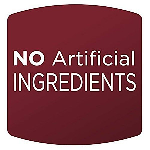 Orchard Valley Harvest Salad Toppers Glazed Pecans with Cranberries and Pepitas, 0.85 Ounce Bags (Pack of 15), Salad Toppings, Non-GMO, No Artificial Ingredients