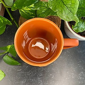 Plant Mug - Plant Gift - Plant Lady - Plant Lover Gift - Crazy Plant Lady - Coffee Lover Gift - Gift for Her - Gift for Mom - Garden Mug