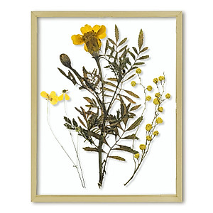 Frametory, Floating Picture Frame 11x14 - Gold Aluminum Metal Photo Frame - Real Glass of Front - for Wall Mount Displays