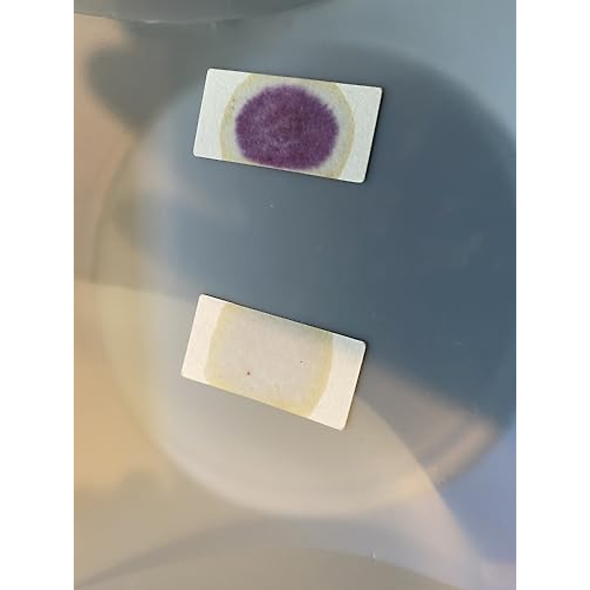 Semen Residue Detection Test Kit