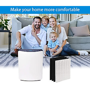 Replacement Filter for Winix D480, D480 Replacement Filter D4, 1 Pack D480 Filter D4+3 Pack Activated Carbon Filters, Part Number 1712-0100-00