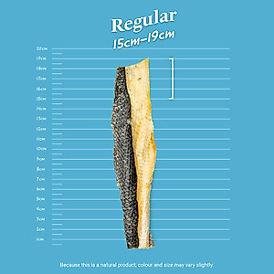 SKIPPER'S Salmon Fish Skin Flatties - Dental Chews for Dogs, Long Lasting Natural Dog Treats, Healthy Pet Supplies Support Skin Coat & Joint Function | Salmon Fish Dried Flatties Dog Food (3.5Oz)