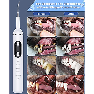 NATURE NERDS Plaque Remover for Teeth, Pet Tooth Brushing Kit, Dental Tools to Remove Plaque and Tartar, Safe for Dog and Cat, with LED Light, White