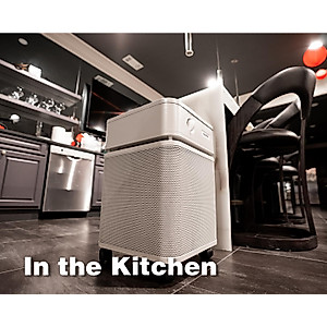 Austin Air Healthmate Plus - Powerful Air Purifier with HEPA Medical-Grade Filtration System, Eliminate Harmful Airborne Contaminants, (Sandstone)