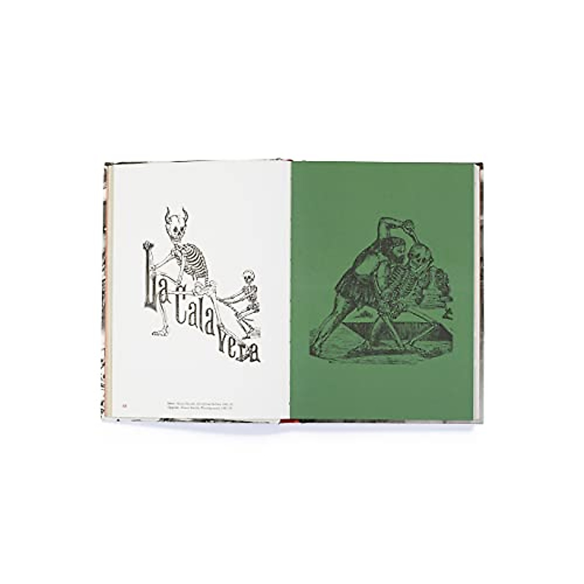 The Day of the Dead: A Visual Compendium