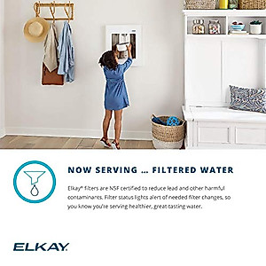 Elkay LBWD00BKC ezH2O Liv Built-in Filtered Water Dispenser, Non-refrigerated, Midnight