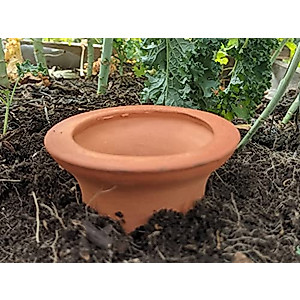 Clay Olla - Quart Sized - Ideal for Elevated Garden Planters, Grow Bags or 14" - 18" Pots