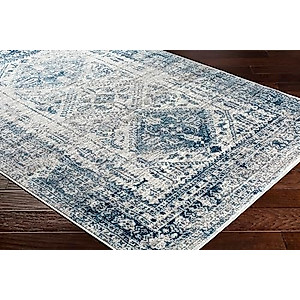 Livabliss Desta Vintage Oriental Area Rug,7'10" x 10'2",Blue/White