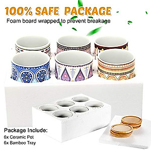 Feoxialy Succulent Plant Pots 6 Pack with Drainage 3.1 Inch Cylinder Flower Pots Small Ceramic Pots for Plants Indoor&Outdoor Garden Flower Planter Tray for All House Plants/Succulents/Flowers/Cactus