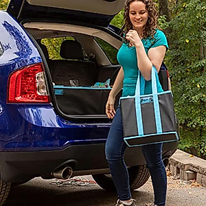 Tote Buddy - Collapsible and Heavy Duty Large Tote Bags for Organizing (Mid Size, 1 Tote)