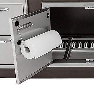 Blaze Grills Double Access Door with Paper Towel Dispenser Size: 32" W
