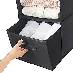 MAX Houser Hanging Shelf Closet Storage Organizer Removable Drawers ，Hanging Storage Organizer Hanging Sweater 2 Sock Underwear Drawers for Closet, Bedroom, Black