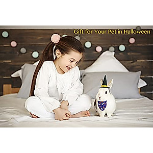 CooShou Halloween Guinea Pigs Wizard Hat Bandanas Costume Rabbit Triangular Scarf Black Orange Pumpkin Spider Bat Devil for Small Animals Bunny Sugar Glider Holiday Party L