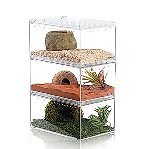 REPTI ZOO Magnetic Acrylic Breeding Enclosure, 12x8x6 Inch Flat Long Reptile Breeding Box Terrarium Cage for Tarantula Scorpion Sling Isopods Lizards Roach Invertebrates Insect Mantis