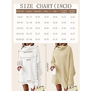 LILLUSORY Womens Turtleneck Oversized Long Sweater Dress 2025 Plus Size Tunic Pullover Knit Fall Dresses Black S