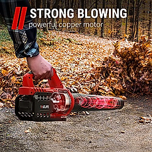 VacLife Leaf Blower Cordless with Battery and Charger -350CFM 150MPH 20V Electric Leaf Blower with Advanced Turbo & High-Speed Mode, Perfect for Cleaning Lawn, Yard, Garage, Patio & Sidewalk (VL717)